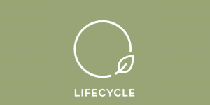 2019 Life Cycle Inventory (LCI) Data and Environmental Metrics ...